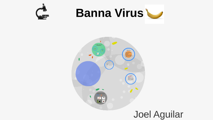 Banna Virus by joel aguilar on Prezi