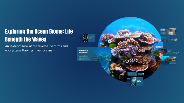 Exploring the Ocean Biome: Life Beneath the Waves by Gabriel Collins on ...