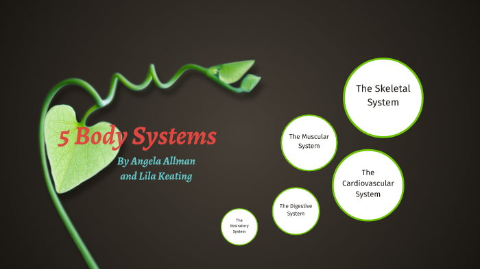 5 Body Systems by Isabelle Nightshade on Prezi