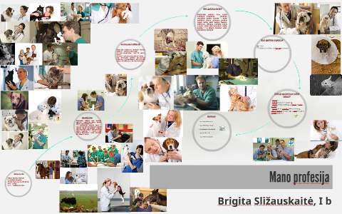 Mano profesija by Brigita Sližauskaitė on Prezi