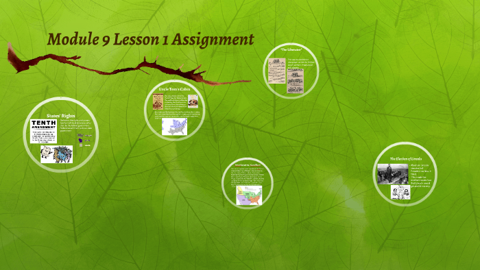 Module 9 Lesson 1 Assignment by ashlyn stevens on Prezi