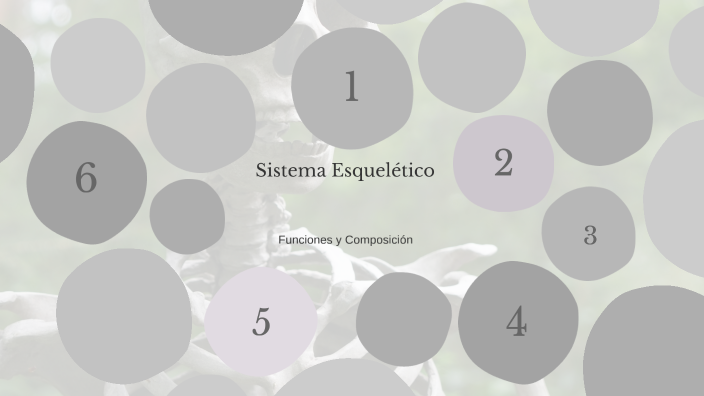 Sistema Esquelético by ANDREA RAMIREZ MONTER on Prezi