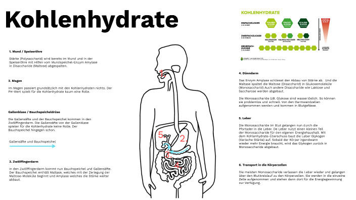 Kohlenhydrate by Silas Briggen on Prezi