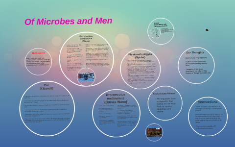 Of Microbes and Men by Emily Carter on Prezi