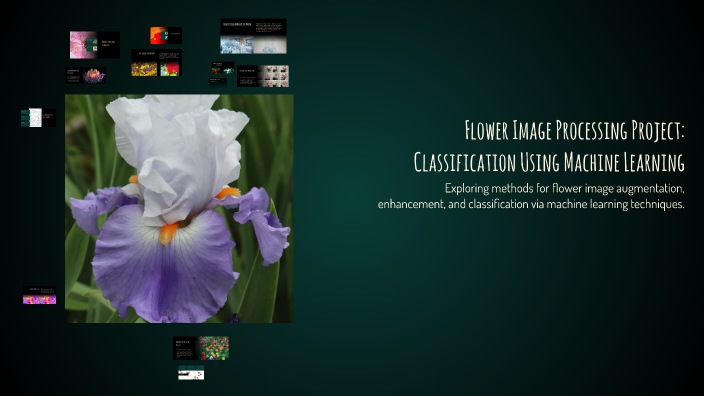 Flower Image Processing Project: Classification Using Machine Learning ...