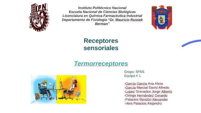 Termorreceptores by David Garcia on Prezi