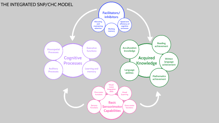 The Integrated SNP/CHC Model by Linda Masarà on Prezi