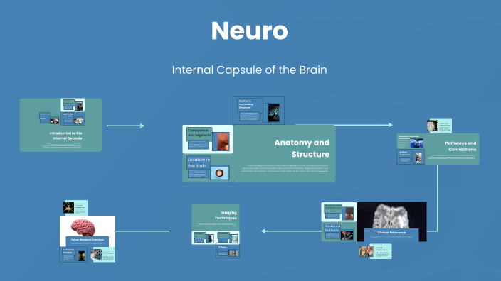 Neuro by Grace Parrett on Prezi