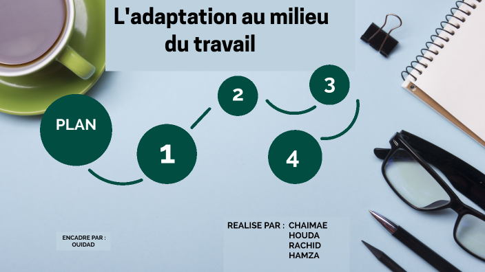 l'adaptation au milieu du travail by cha hdd on Prezi