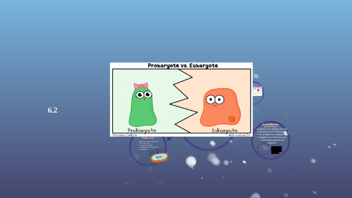 6.2 Micro-organisms are classified and named in specific way by Karyn ...
