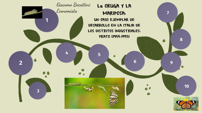 LA ORUGA Y LA MARIPOSA by Mario Escobedo on Prezi