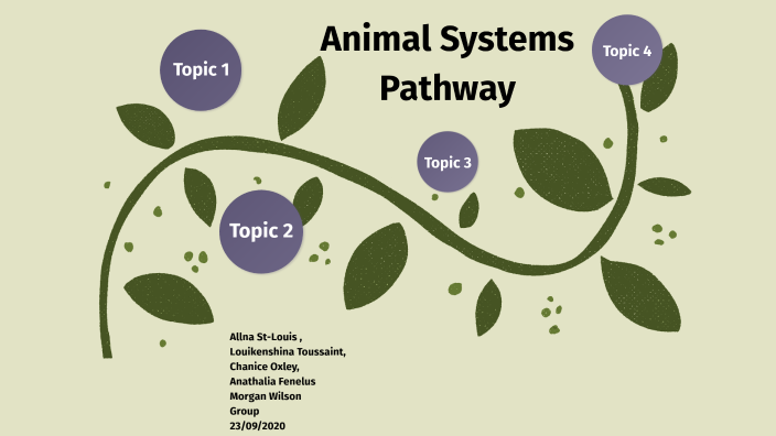 Animal Systems Pathway by Allna St-Louis on Prezi