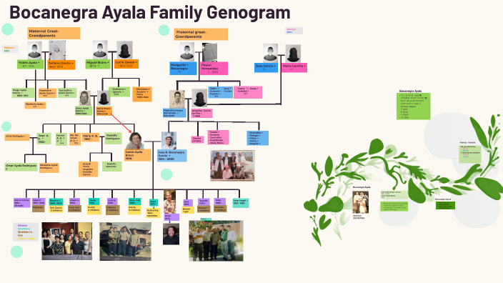 Bocanegra Ayala Family Tree by Hilda Bocanegra Ayala on Prezi