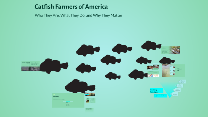 Catfish Farmers of America by Charles Stamler on Prezi