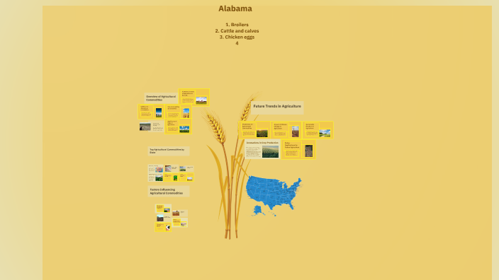 Top 5 Agricultural Commodities in Each State by Fisher Hon on Prezi