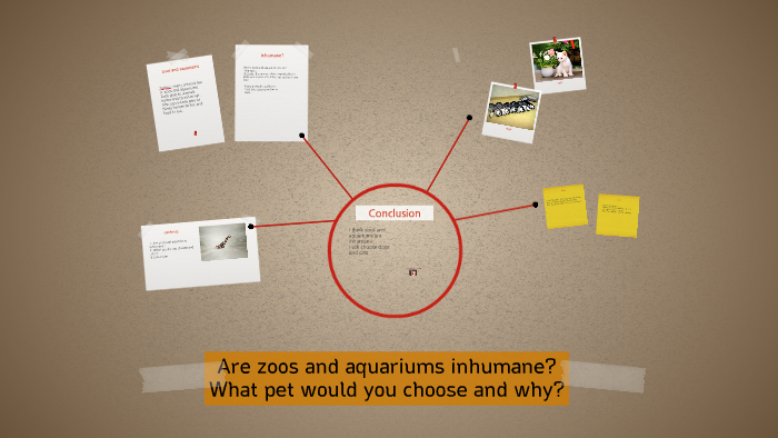 Are zoos and aquariums inhumane? by 태인 이 on Prezi