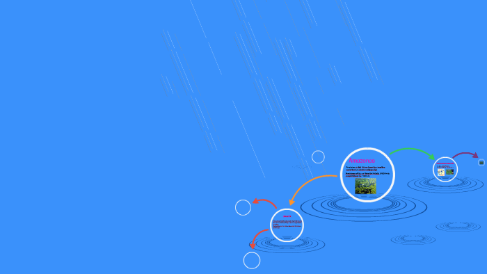 amazonas by keiu vakmann on Prezi