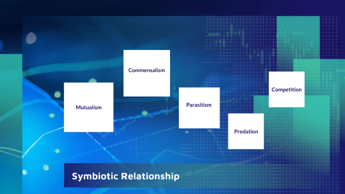 symbiotic relationships by Abrahan Lazo on Prezi
