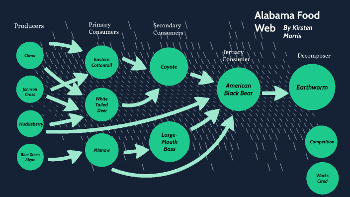 1.05 Alabama Food Web by Kirsten Morris on Prezi