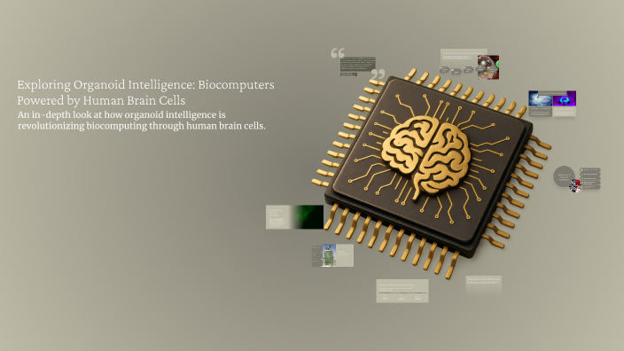 Exploring Organoid Intelligence: Biocomputers Powered by Human Brain ...