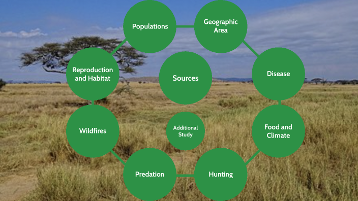 Serengeti Ecosystem Model by Zane Keefover on Prezi