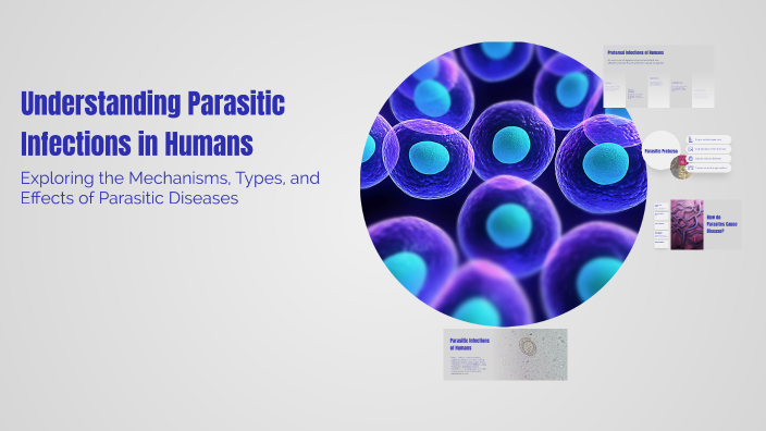 Understanding Parasitic Infections in Humans by WENNAH BIANCA A ...