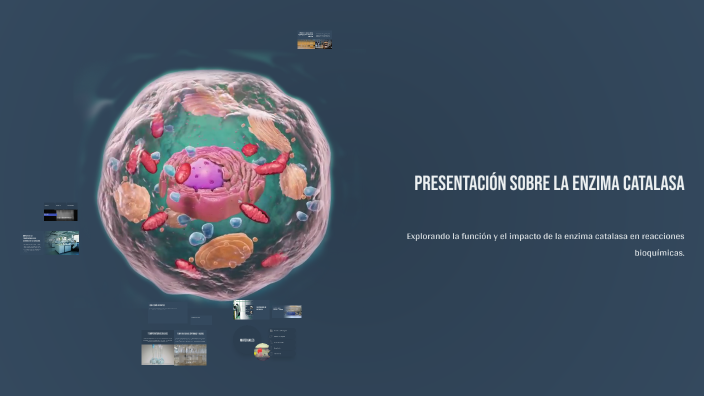 Presentación sobre la Enzima Catalasa by Asley Ramirez Perez on Prezi