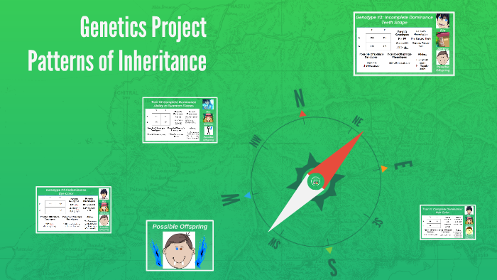 Genetics Project Patterns of Inheritance by Girish Subramani on Prezi