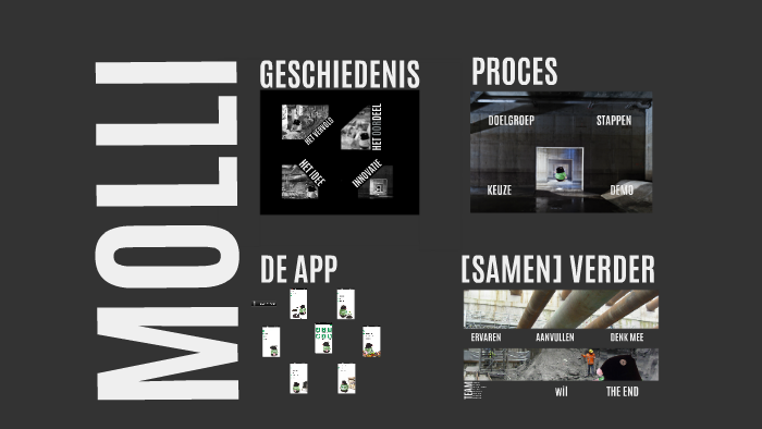 molli by John de Ruiter on Prezi