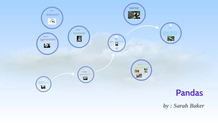 All About Pandas by Sarah Baker on Prezi