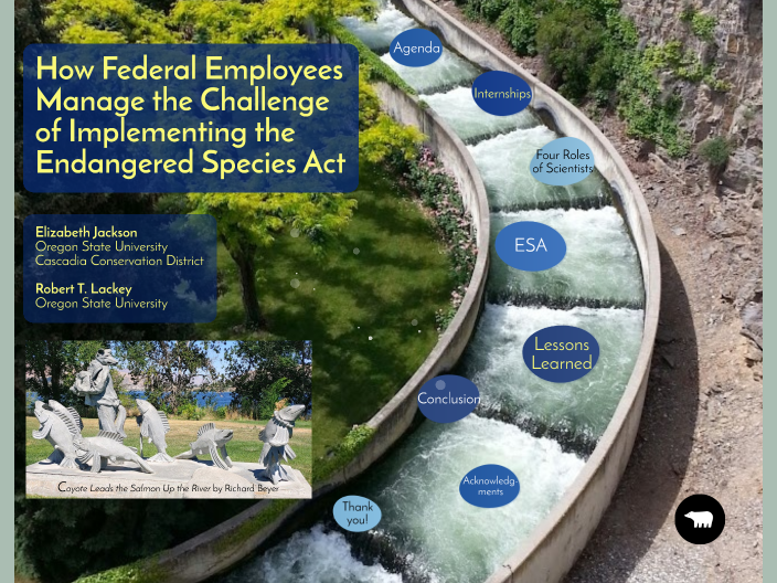 How Federal Employees Manage the Challenge of Implementing the ...