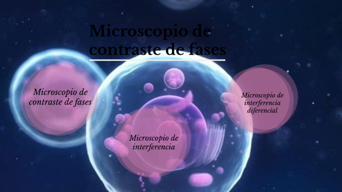 Microscopio de contraste de fases by Doménica Arleth Aguirre Navarrete ...