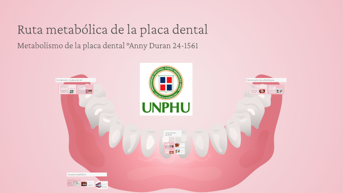 Ruta metabólica de la placa dental by Anny yuberlyn Duran on Prezi