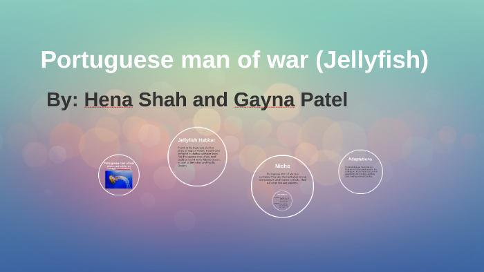 Portuguese man of war (Jellyfish) by Hena Shah on Prezi