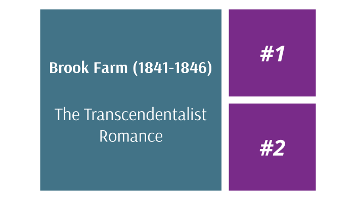 dog water1 by Rohaan Aziz on Prezi