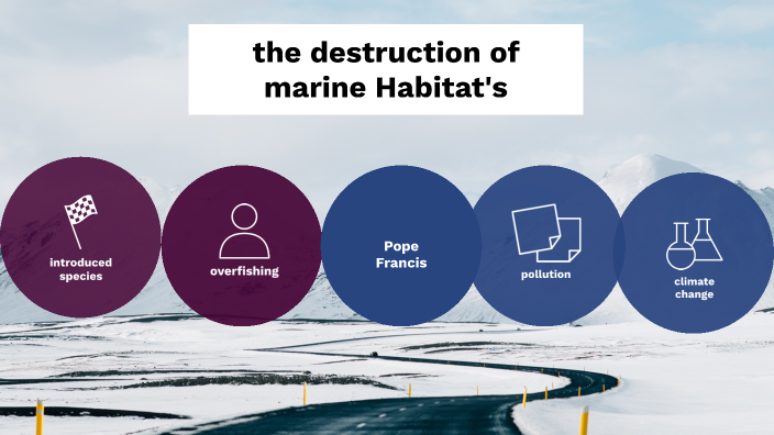 part d by josh judd on Prezi