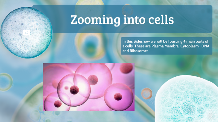 Zooming into Cells by Sagarika Kannan on Prezi