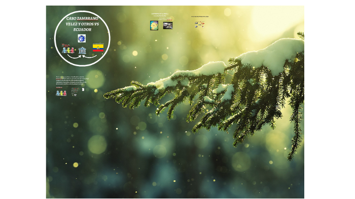 CASO ZAMBRANO VELEZ Y OTROS VS ECUADOR by Carlos Emilio Villagomez Bautista on Prezi