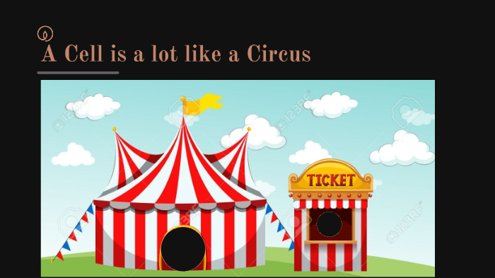 Cell is like a Circus by belle horn on Prezi