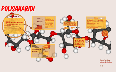 Polisaharidi by Angela M on Prezi