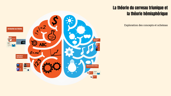 La théorie du cerveau triunique et la théorie hémisphérique by youssef ...