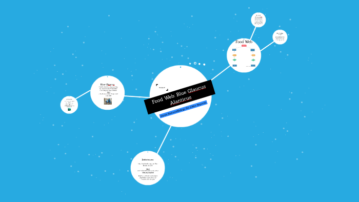 Food Web: Blue Dragon Sea Slug by Alyssa Santana on Prezi
