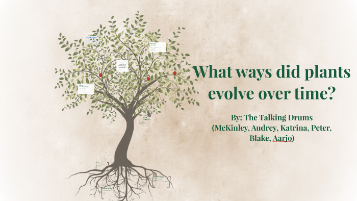 How do plants evolve over time? by Katrina Finch
