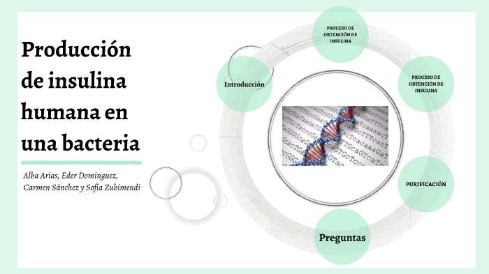Producción de insulina humana en una bacteria by Eder Dominguez Vazquez ...