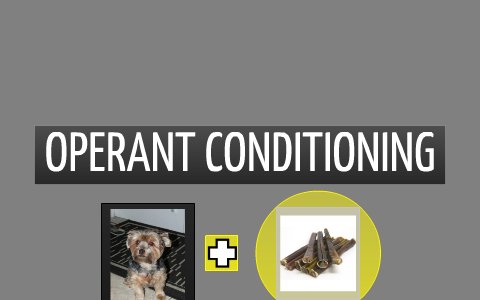 Miller Project- operant conditioning by Markis Zarate on Prezi