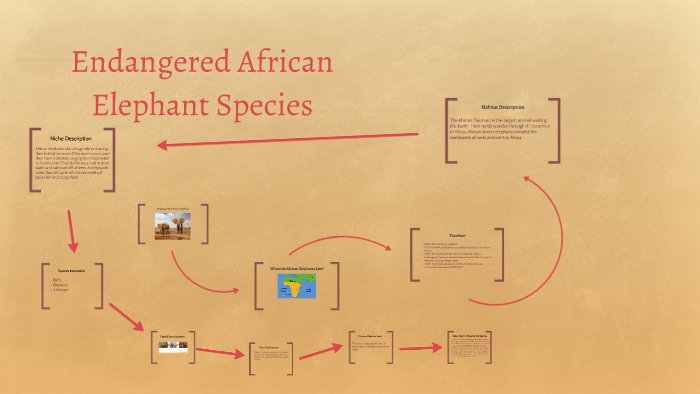 Endangered and Extinct Species by Lily Wenzel on Prezi