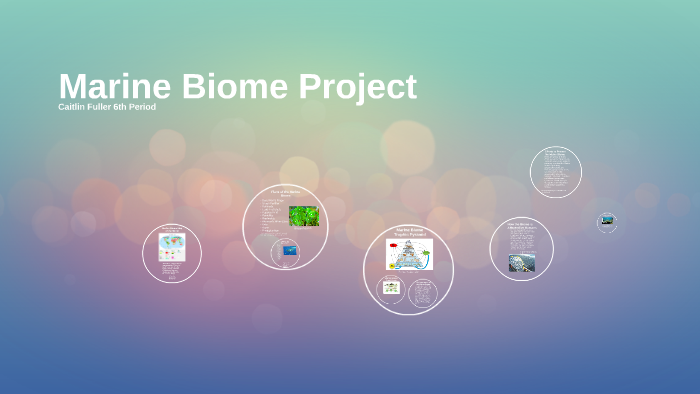 Marine Biome Project by Caitlin Fuller on Prezi