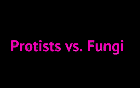 Protists vs. Fungi by Hannah Gay on Prezi