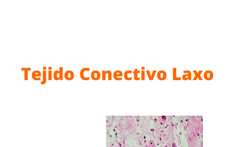 T.C Laxo- Histoembriología I by Valentina Restrepo on Prezi