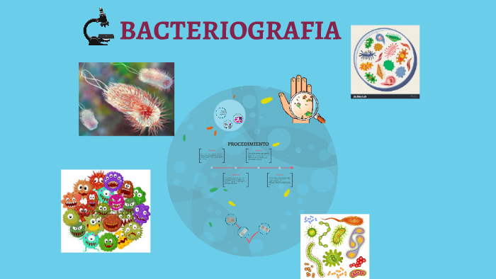 BACTERIOGRAFIA by Betica Bolaños on Prezi